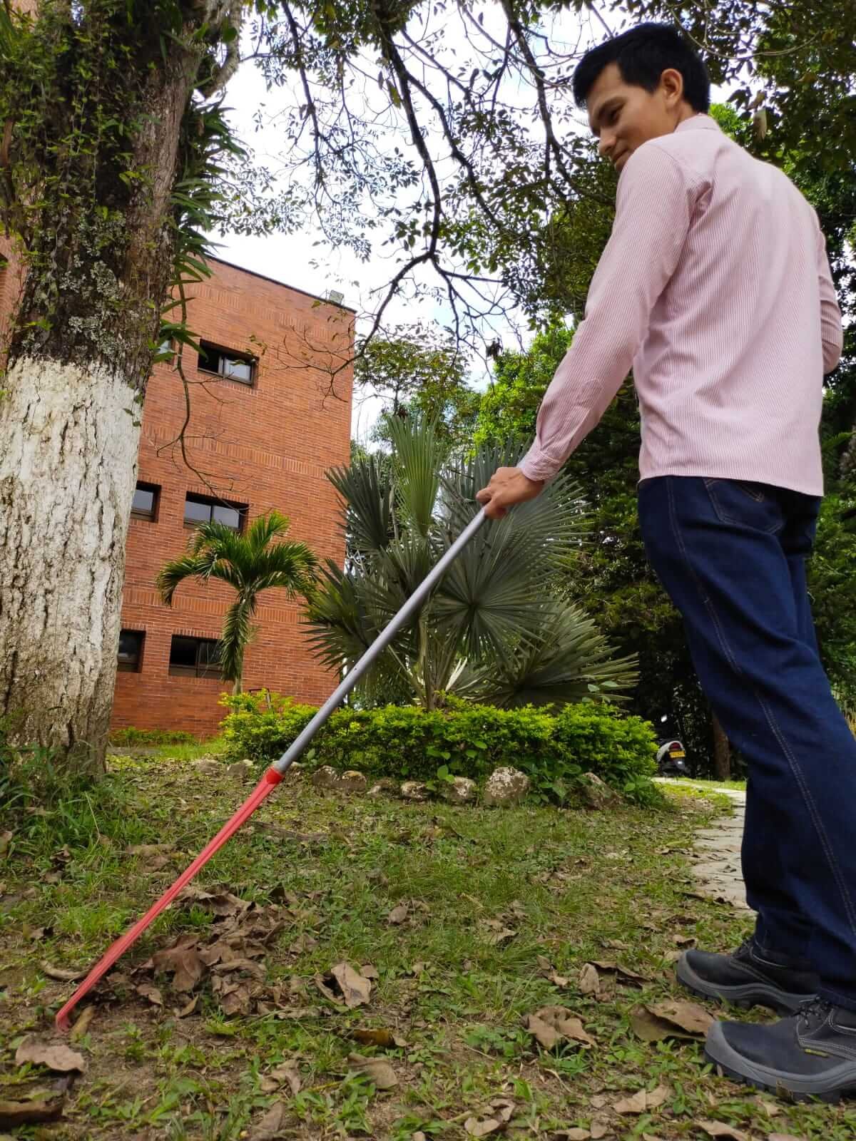 Actividades IMS – IMSSA