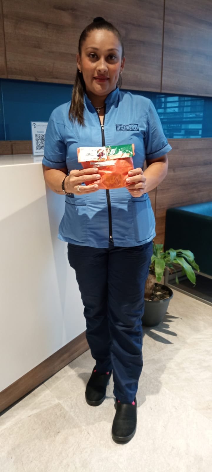 Actividades IMS – IMSSA