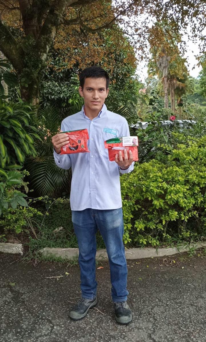 Actividades IMS – IMSSA